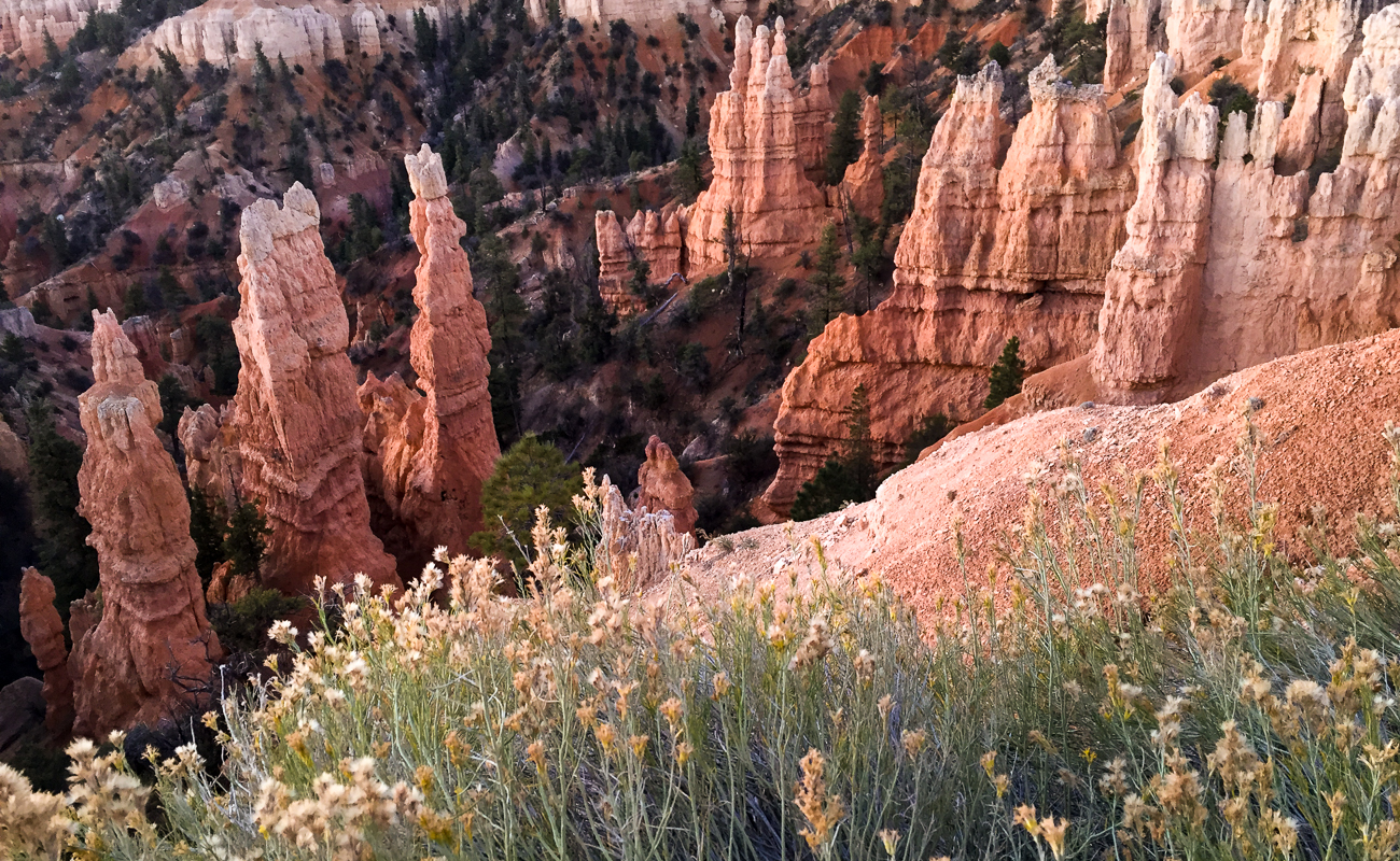 Bryce Canyon Fairyland Loop | Visit Utah