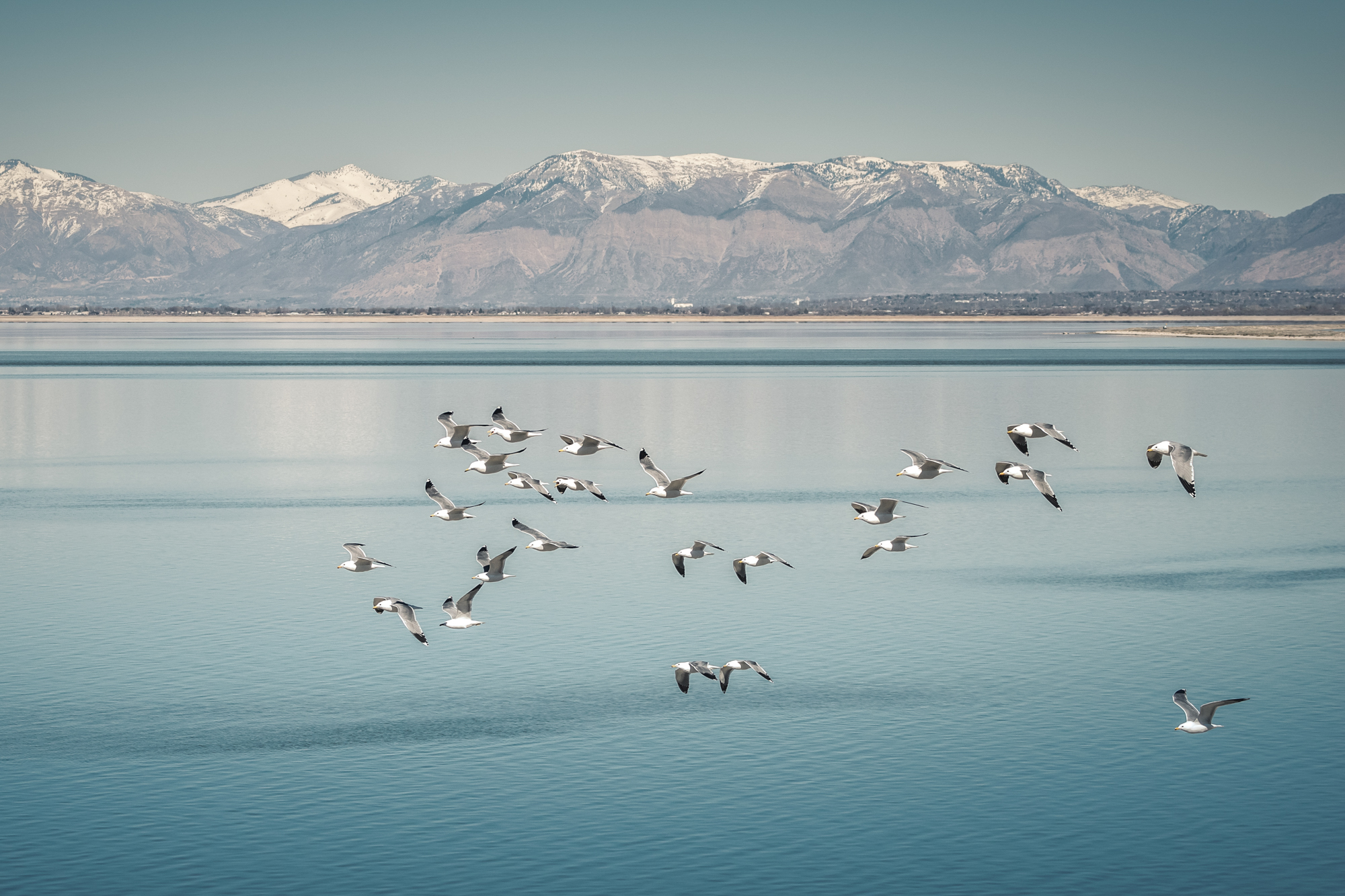 Antelope Island State Park | Biking in Utah | Visit Utah