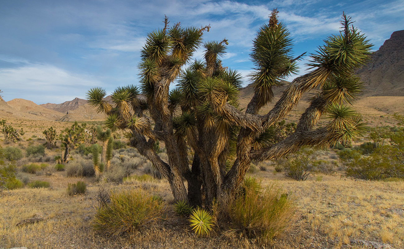 The Southwest Explorer [Road Trip Itinerary] | Visit Utah