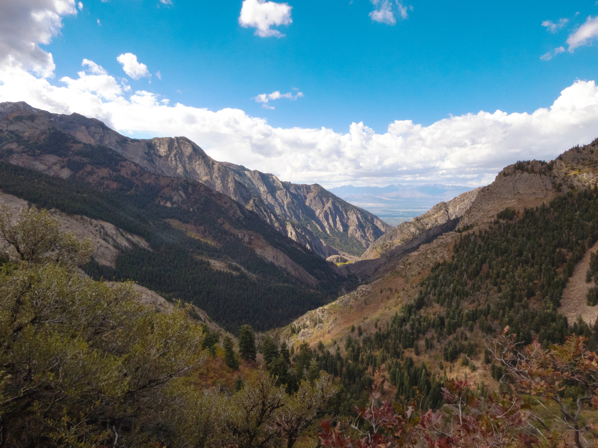 Desolation Overlook Hiking Trail [Maps & Info] | Visit Utah