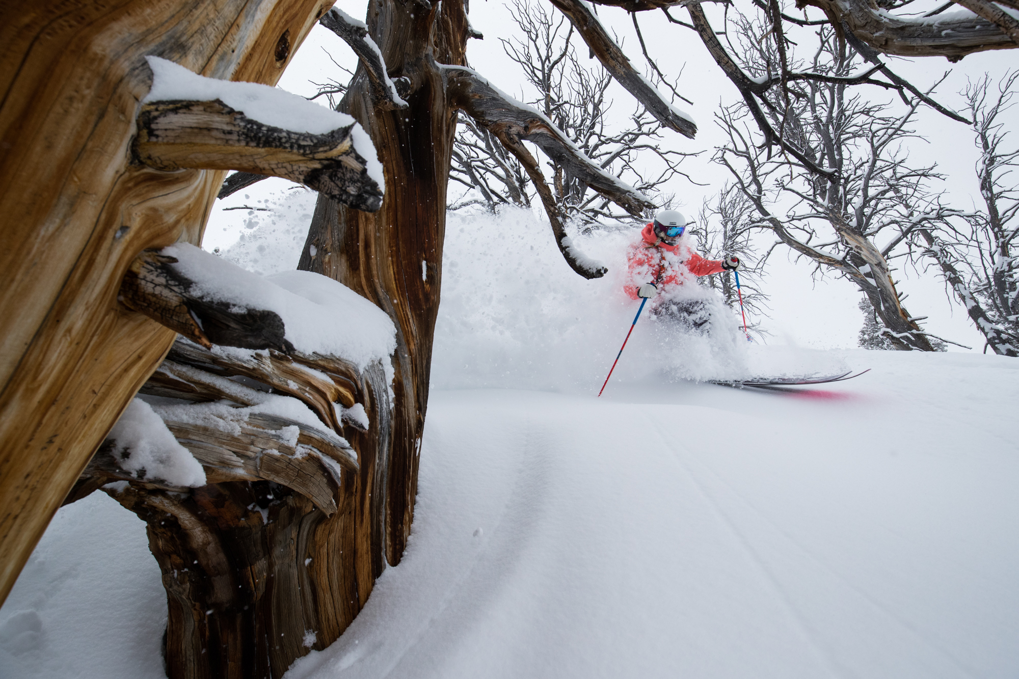 Solitude Mountain Resort | Resorts Near Salt Lake | Visit Utah